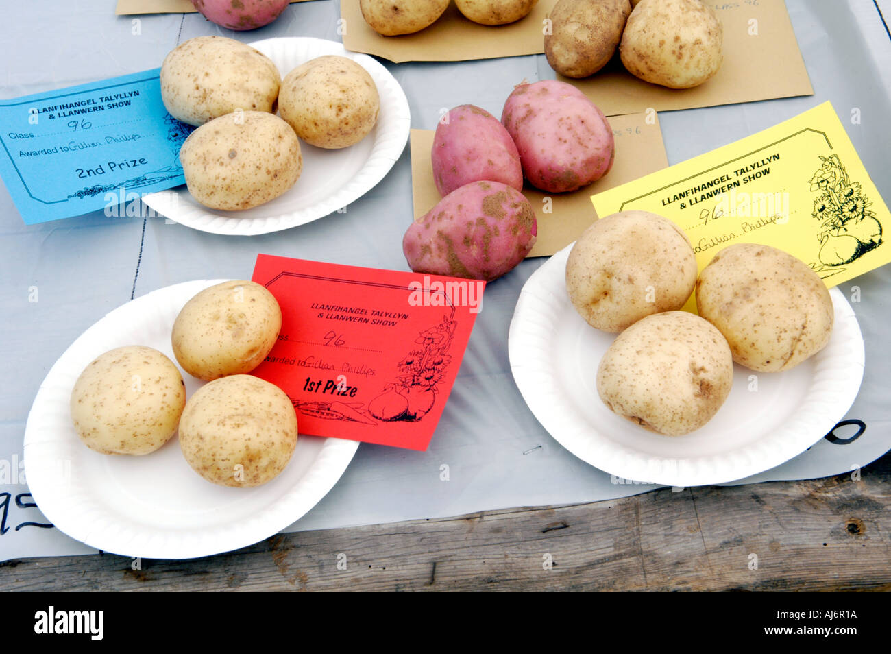 Prize winning potatoes at Llanfihangel Talyllyn Agricultural Show near ...
