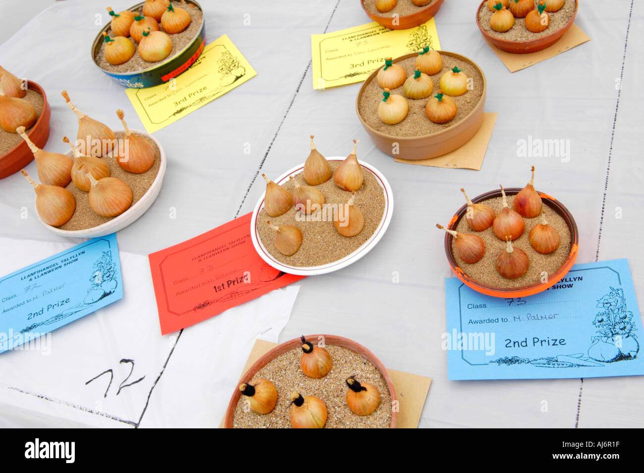 Prize winning onions hi-res stock photography and images - Alamy