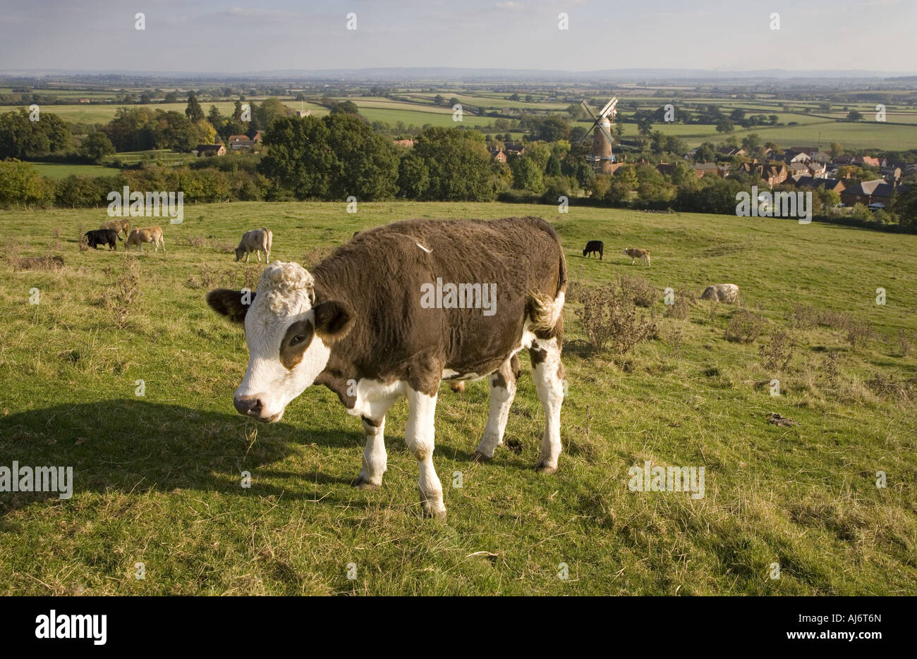 Quainton Village in the Vale of Aylesbury Buckinghamshire Stock Photo ...