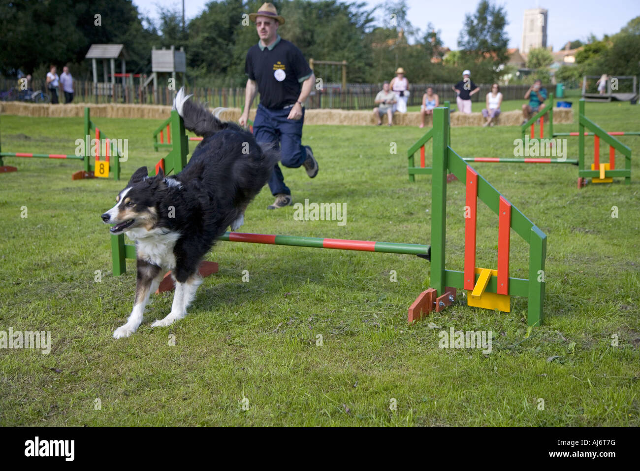 Collie Dog Jumping at village dog show Stock Photo - Alamy