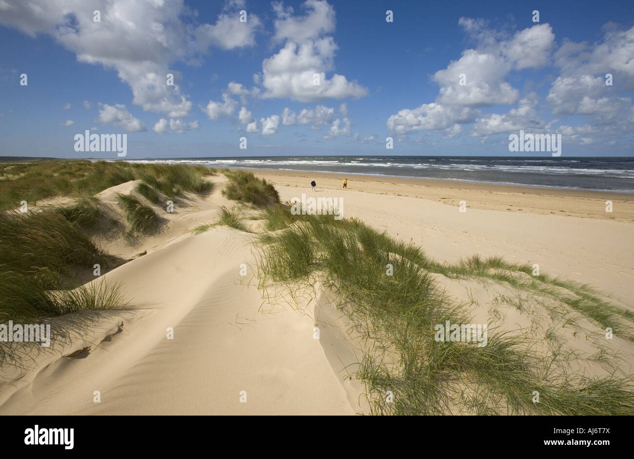 Couple of people in vast open spaces of Holkham Beach Norfolk Stock ...