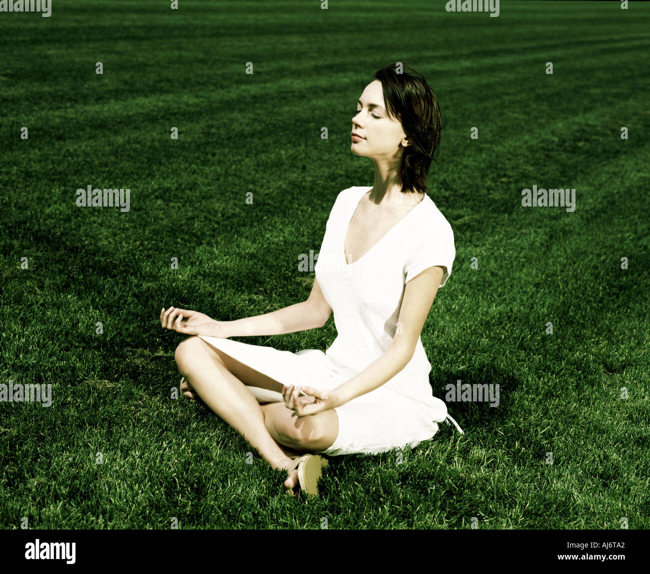 Longish Legs High Resolution Stock Photography and Images - Alamy