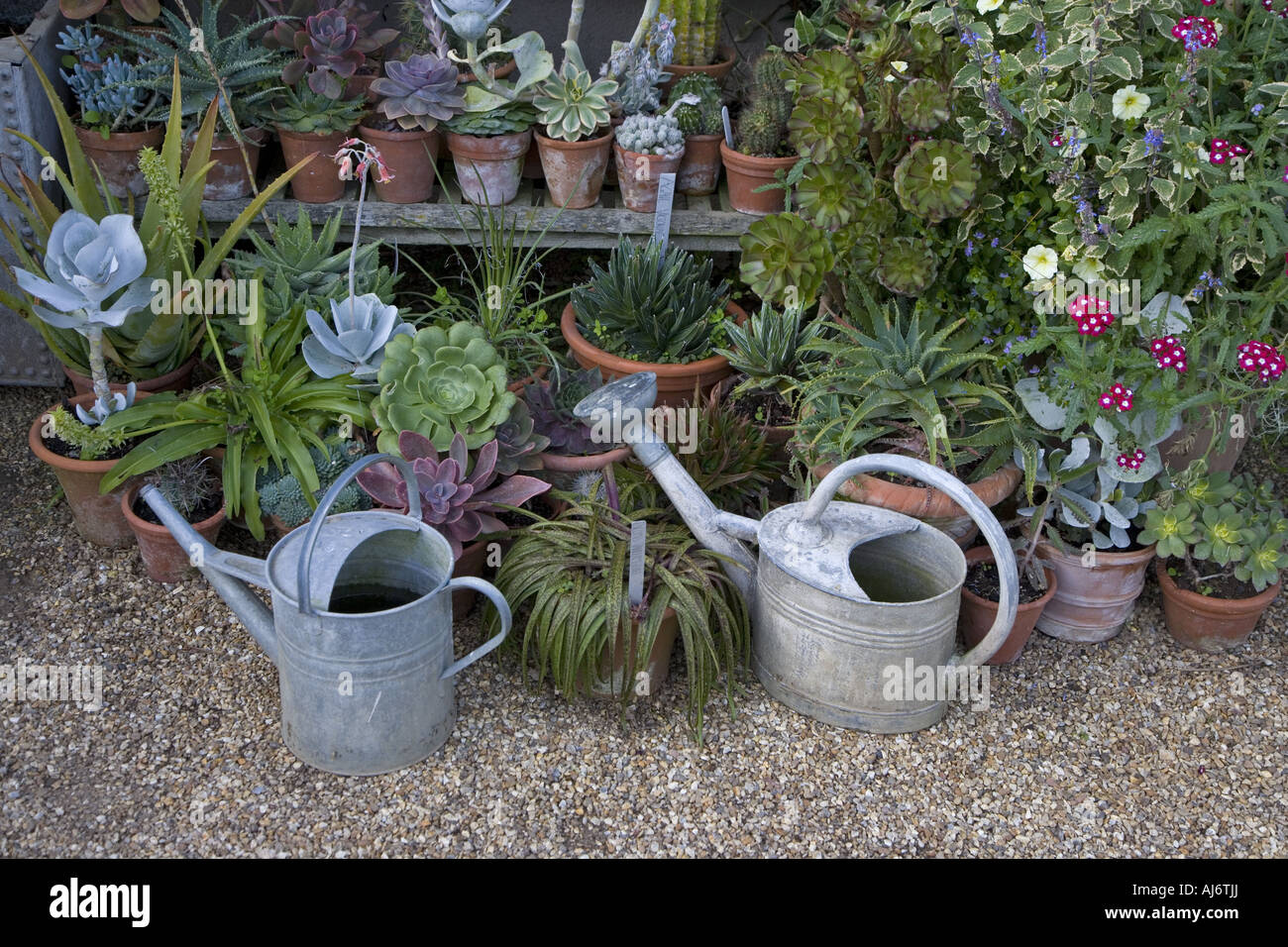 Garden Still Life Pots & Watercan Stock Photo - Alamy