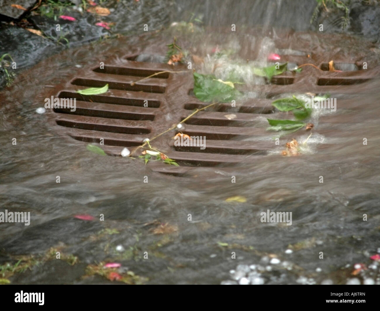 heavy rain water from street running into a gully Stock Photo - Alamy