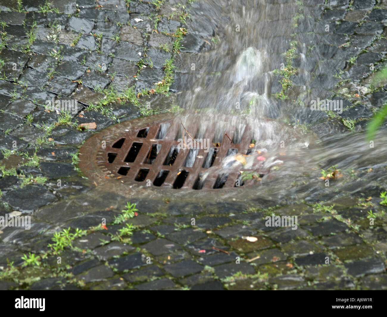 heavy rain water from street running into a gully Stock Photo - Alamy