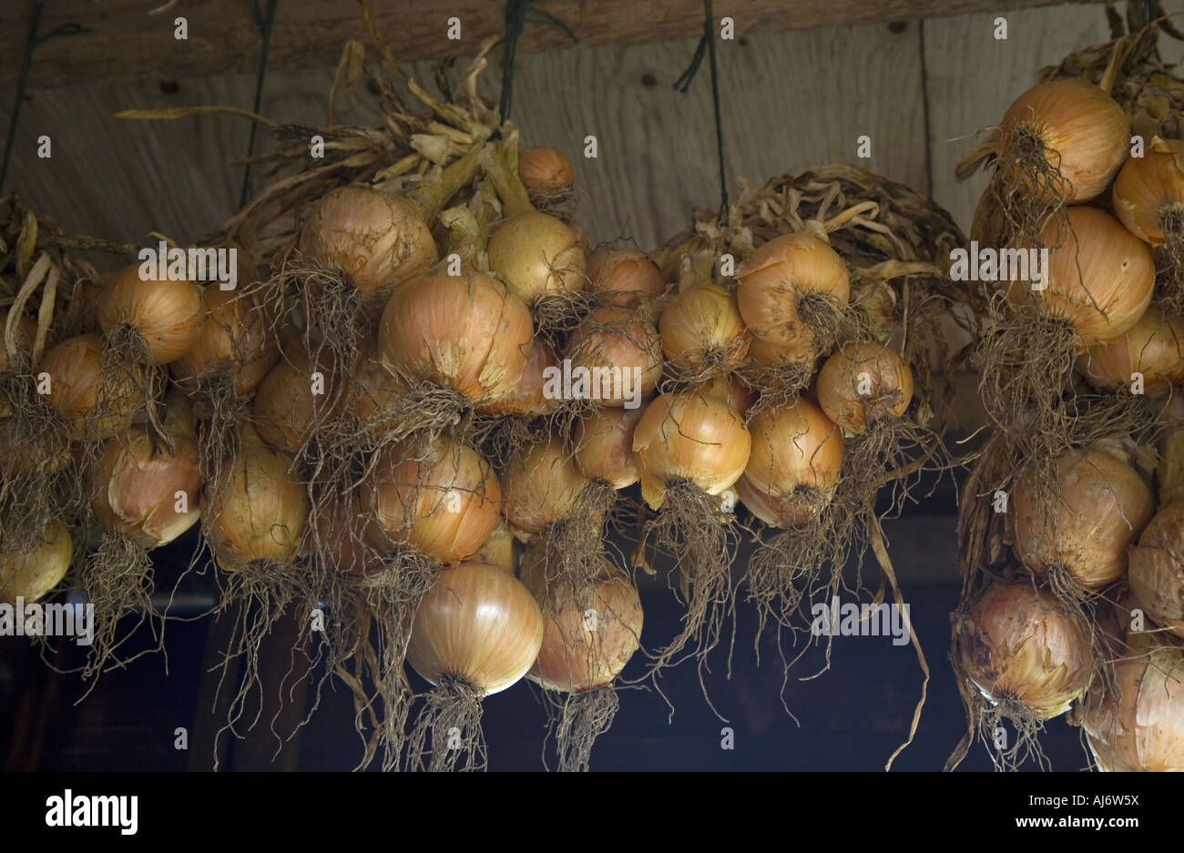 Vegetable storage shed hi-res stock photography and images - Alamy