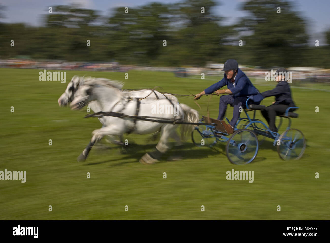 Ponies Scurry Racing Stock Photo - Alamy