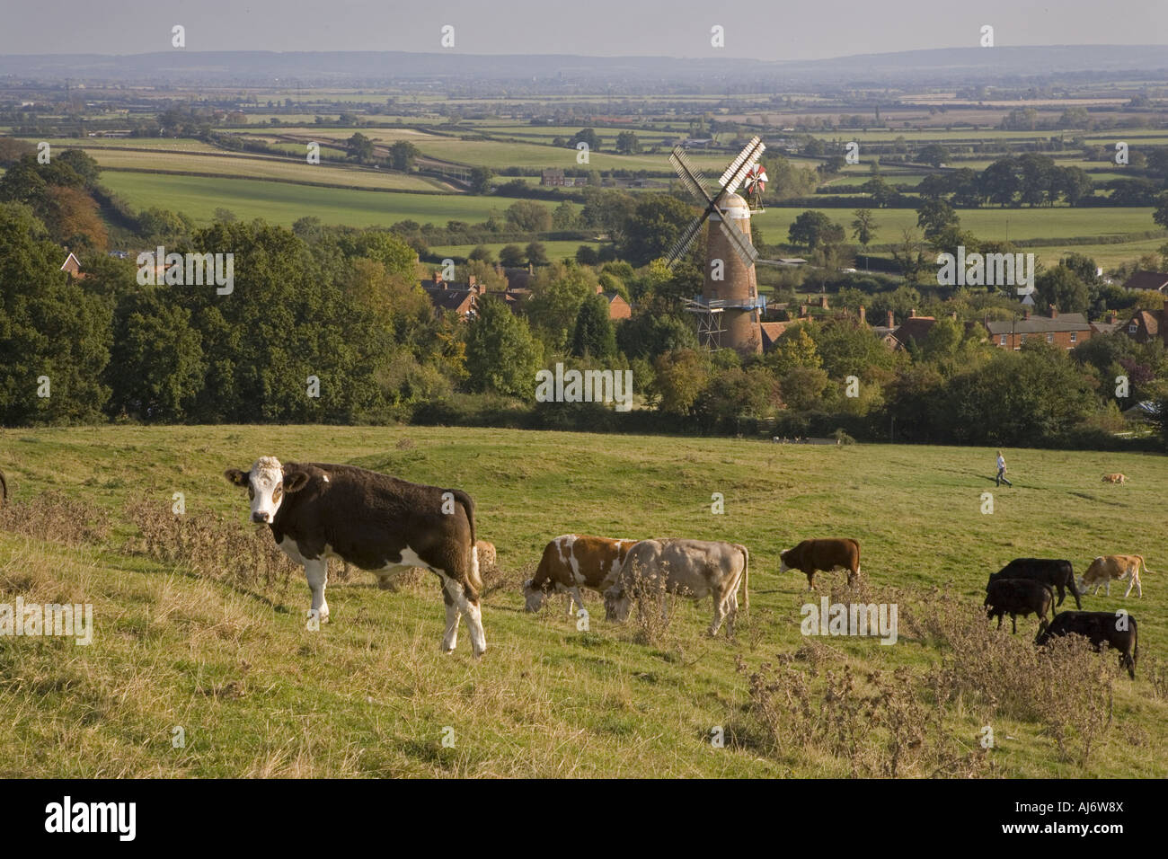 Quainton Village in the Vale of Aylesbury Buckinghamshire Stock Photo ...