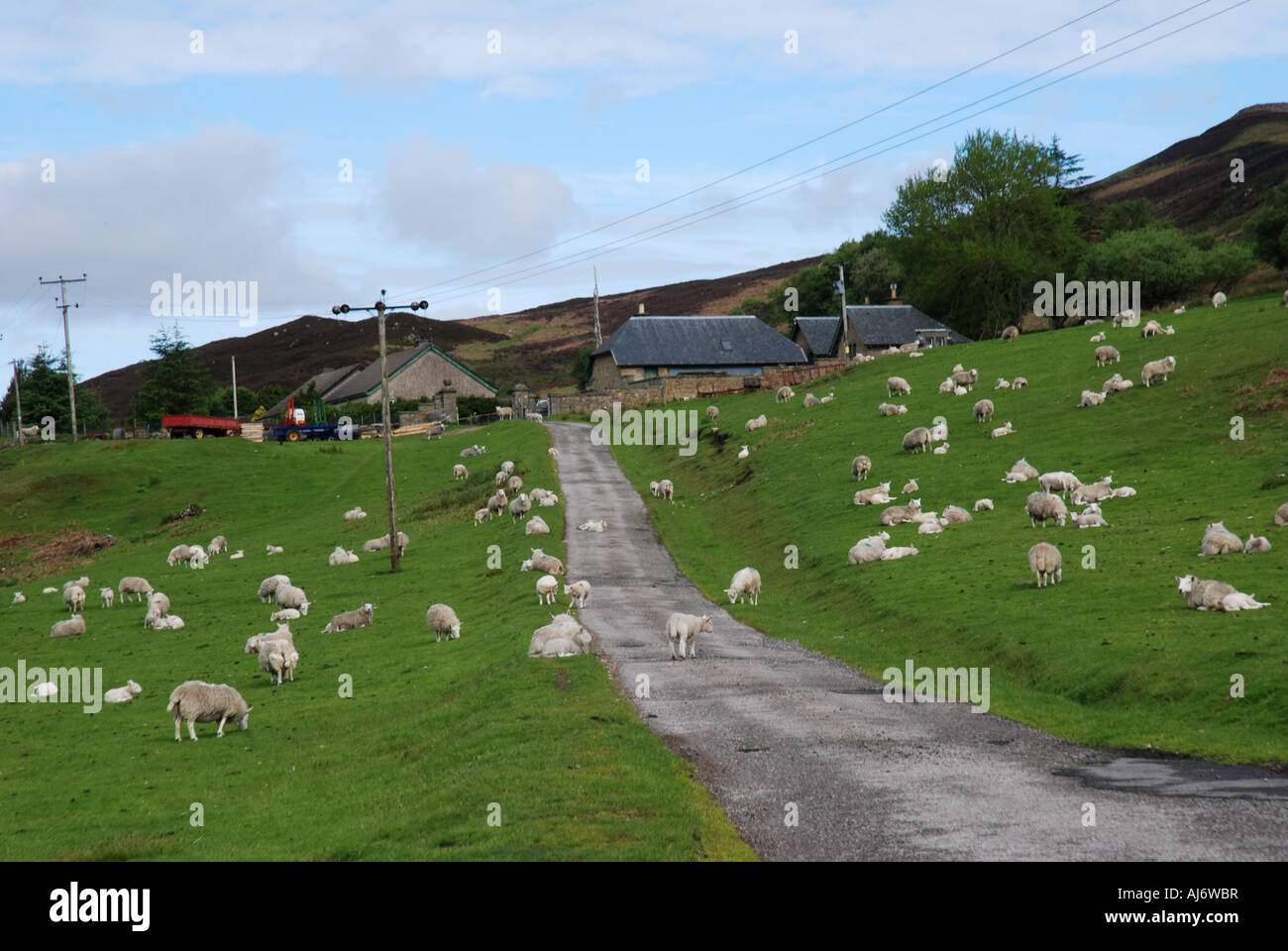 Helmsdale valley hi-res stock photography and images - Alamy