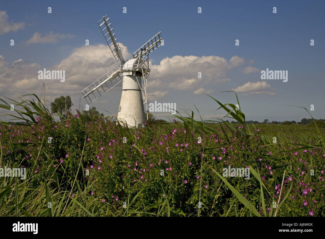 Thurne Windmill on the River Thurne Norfolk Broads National Park ...