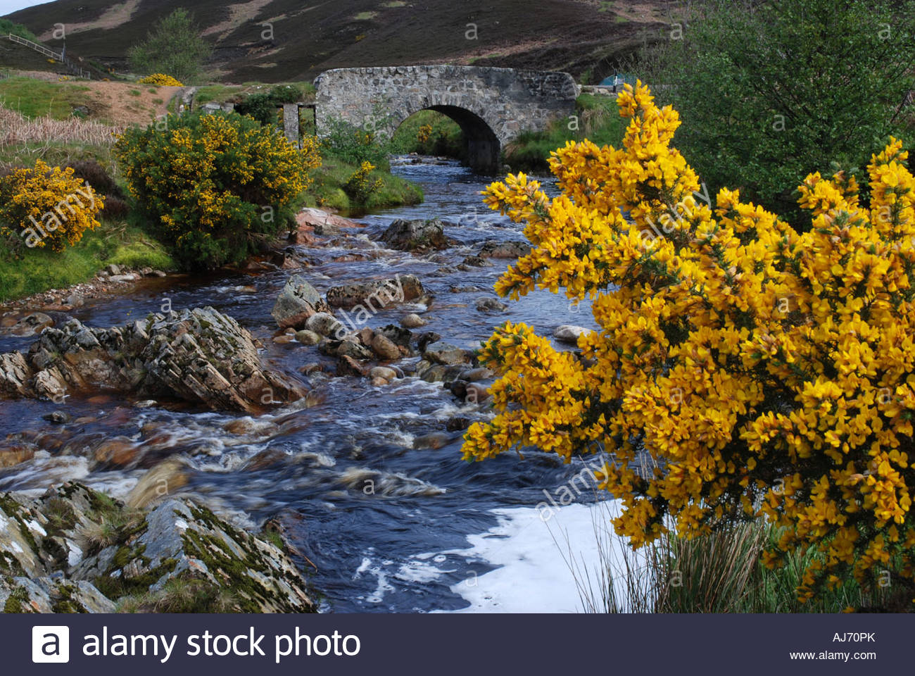 Strath Of Kildonan Scotland Stock Photos & Strath Of Kildonan Scotland ...