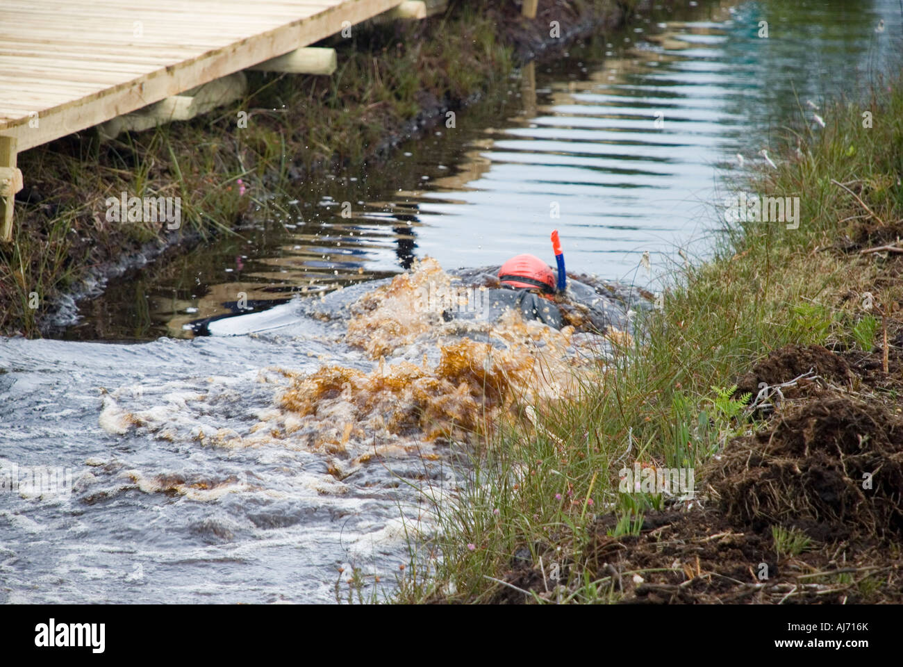 The bog snorkeling hi-res stock photography and images - Alamy