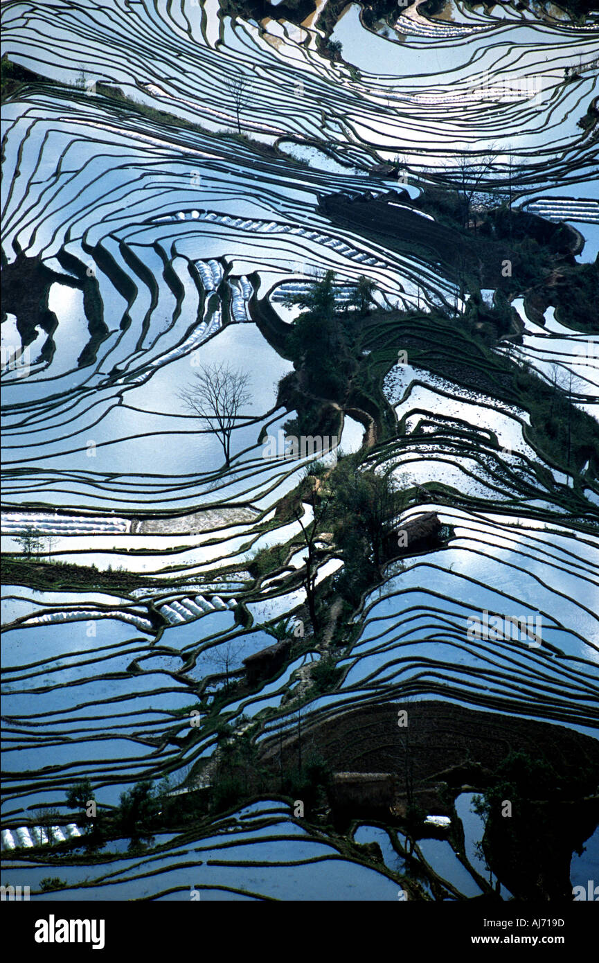Contour terraces hi-res stock photography and images - Alamy
