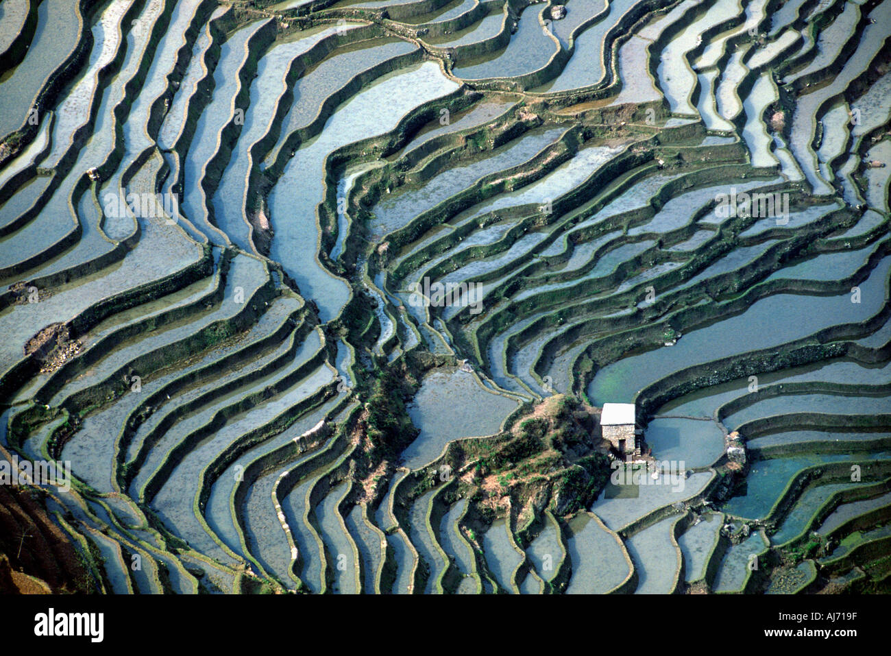 Contour terraces hi-res stock photography and images - Alamy