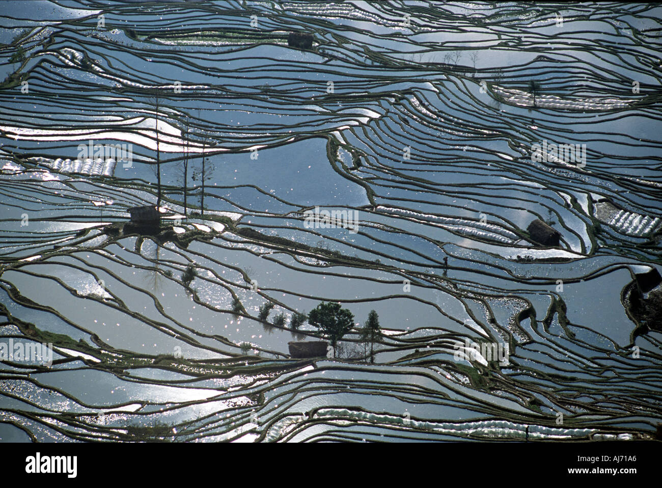 Contour Terraces High Resolution Stock Photography and Images - Alamy
