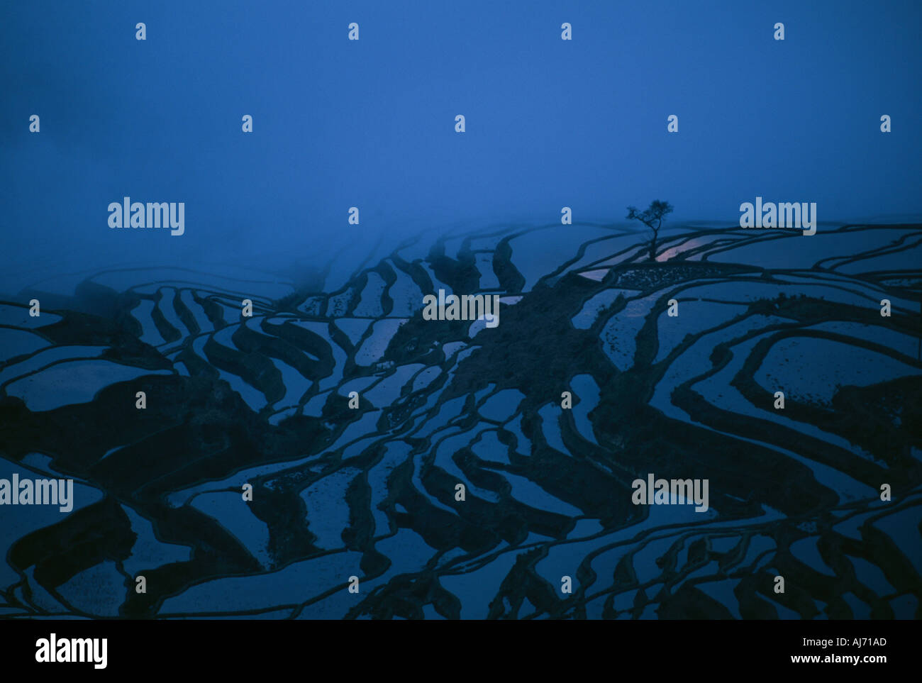 Contour terraces hi-res stock photography and images - Alamy