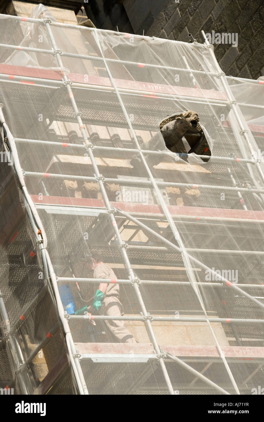 Stock Photo of a gargoyle sticking through the safety netting ...