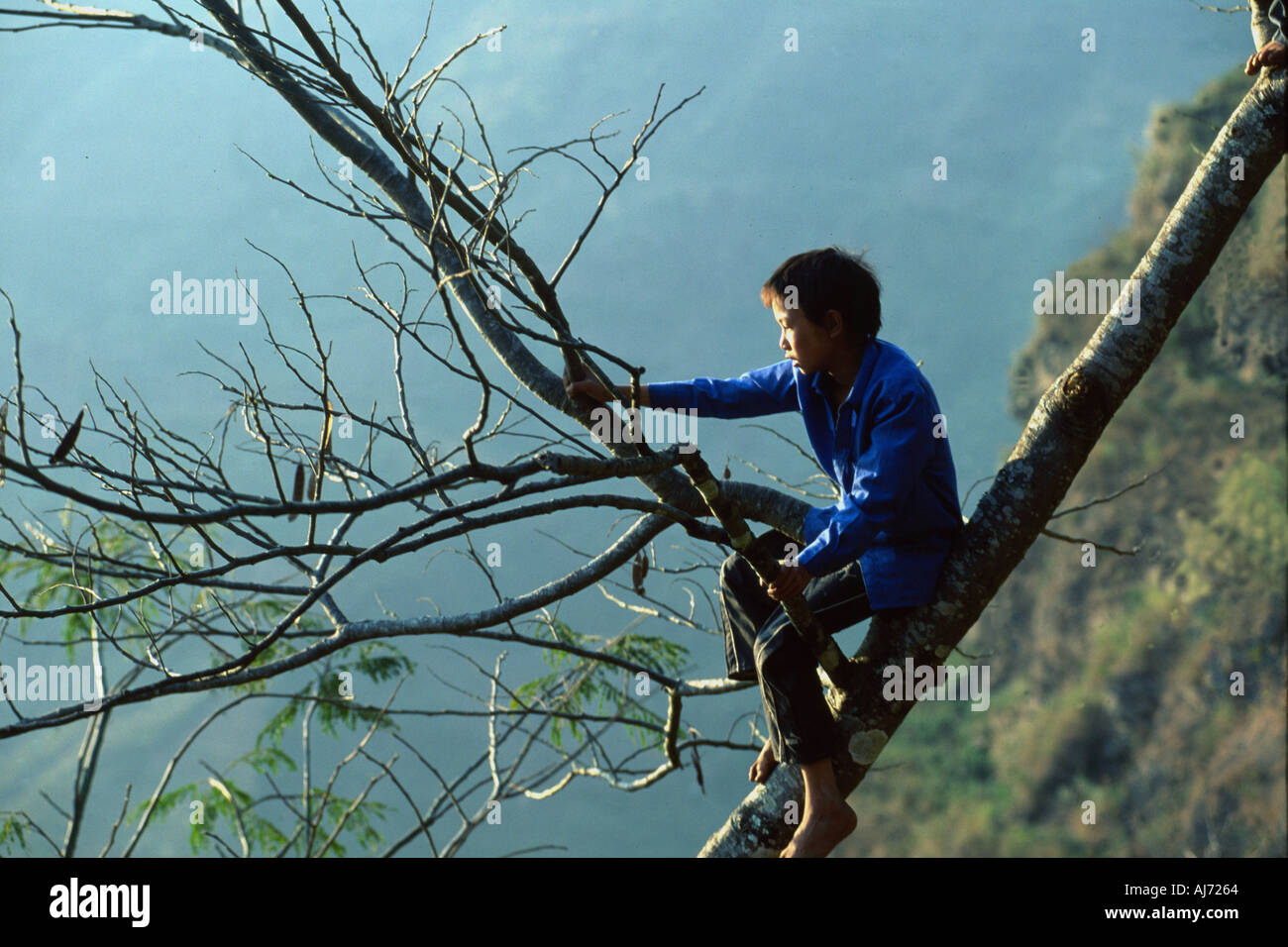Boy climbing tree barefoot hi-res stock photography and images - Alamy