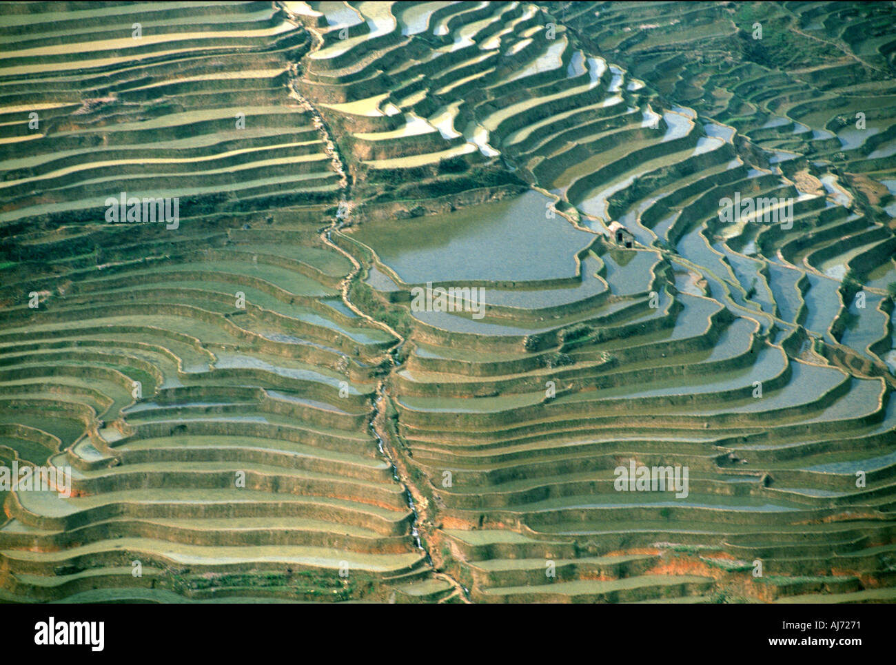 Rice Terraces in China Yuanyang province landscape Stock Photo - Alamy