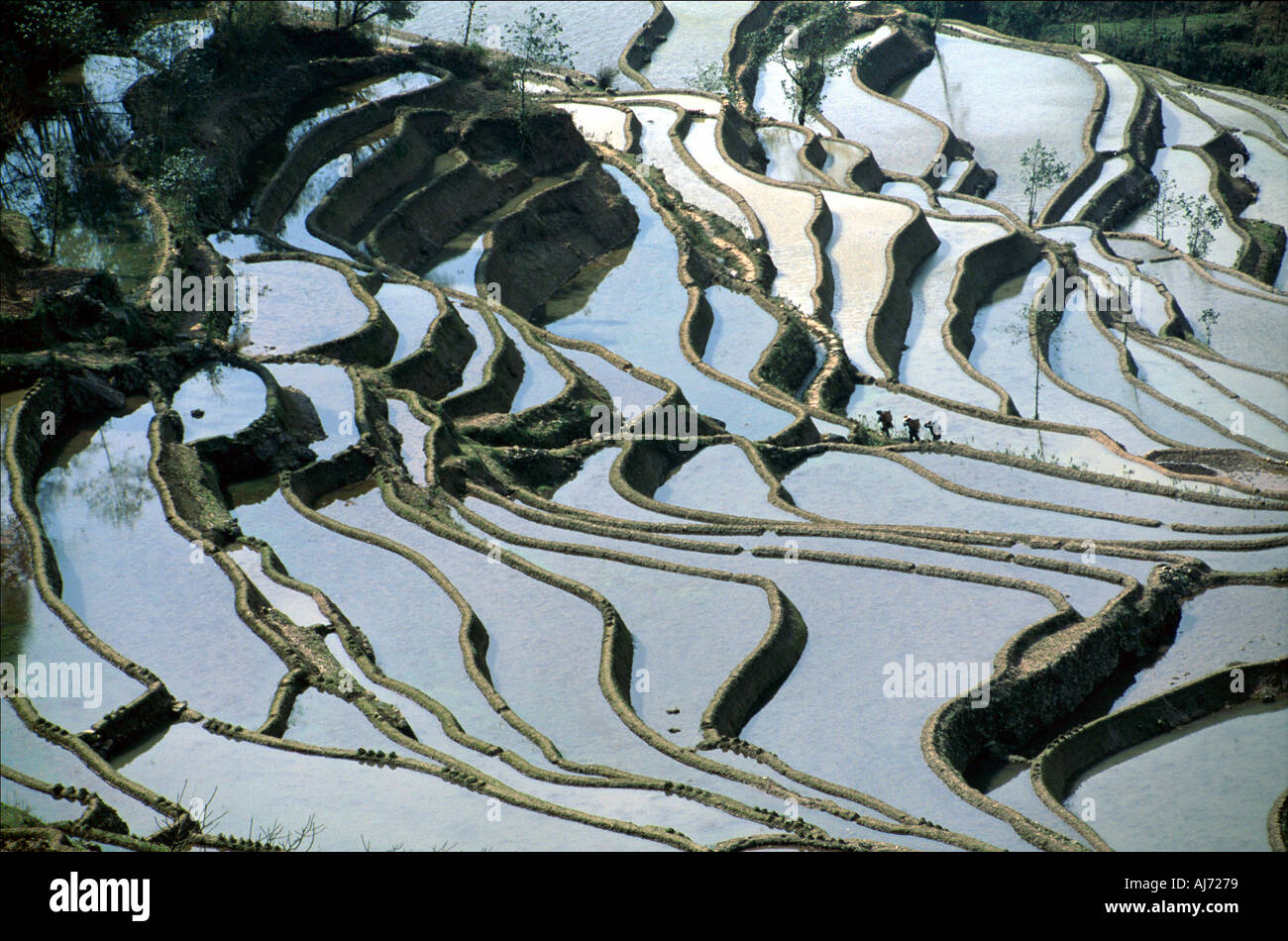 Contour terraces hi-res stock photography and images - Alamy