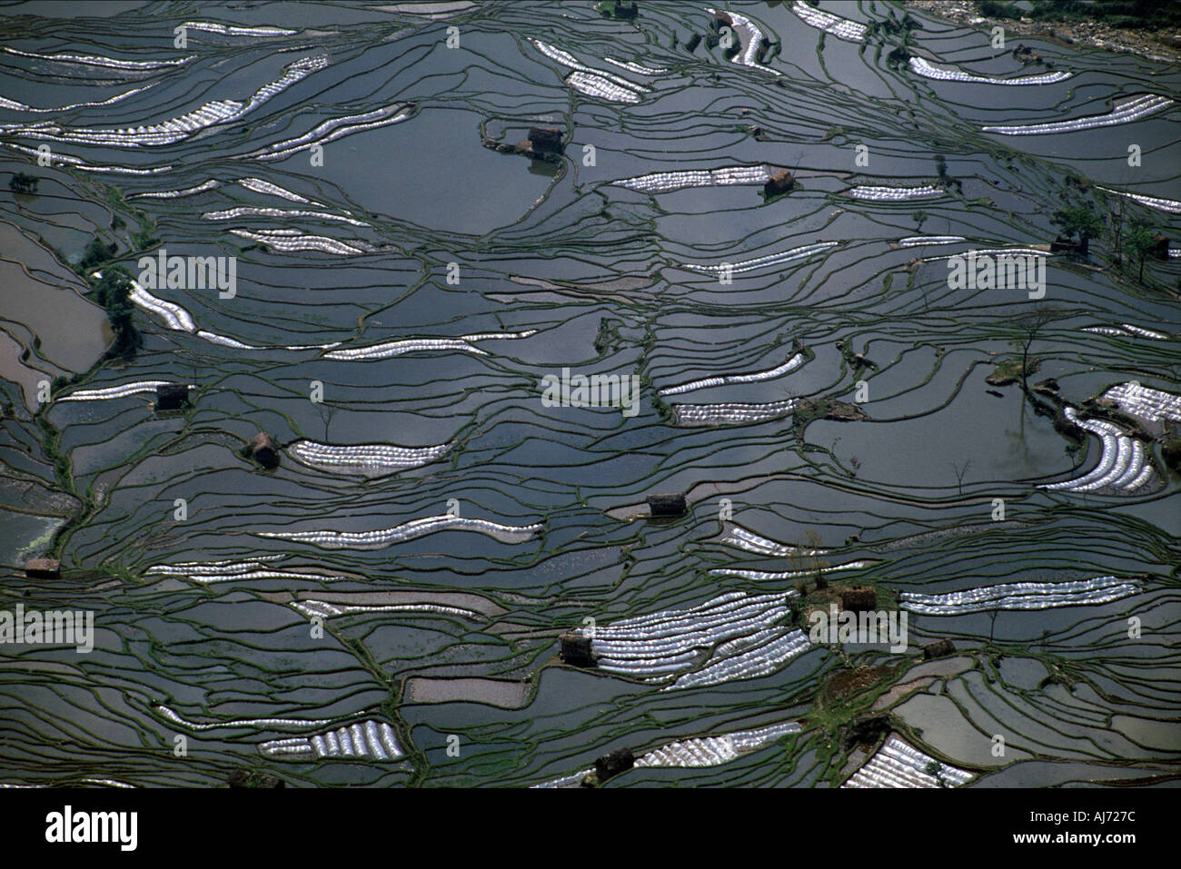 Rice Terraces in China Yuanyang province landscape Stock Photo - Alamy