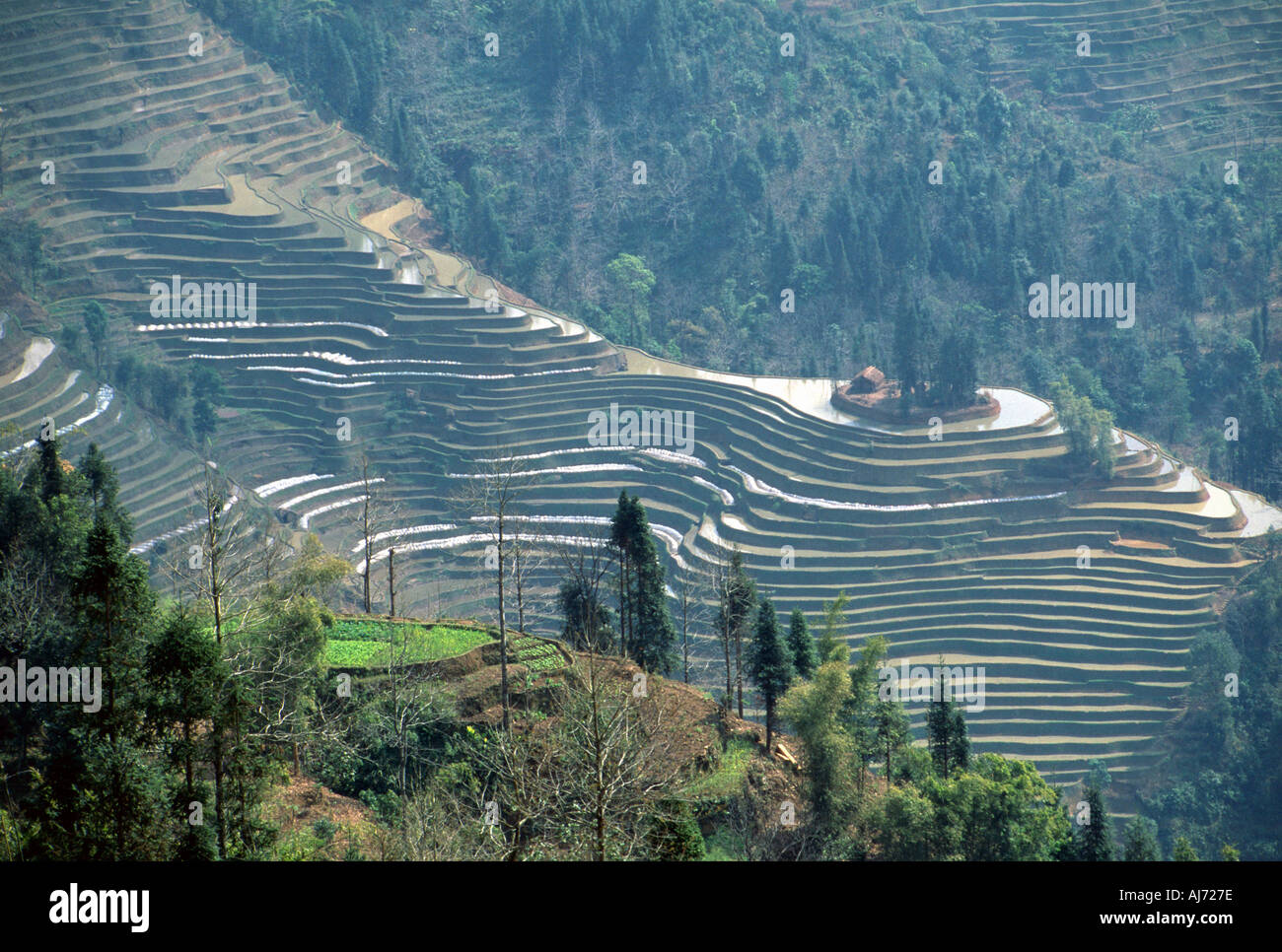 Rice Terraces in China Yuanyang province landscape Stock Photo - Alamy