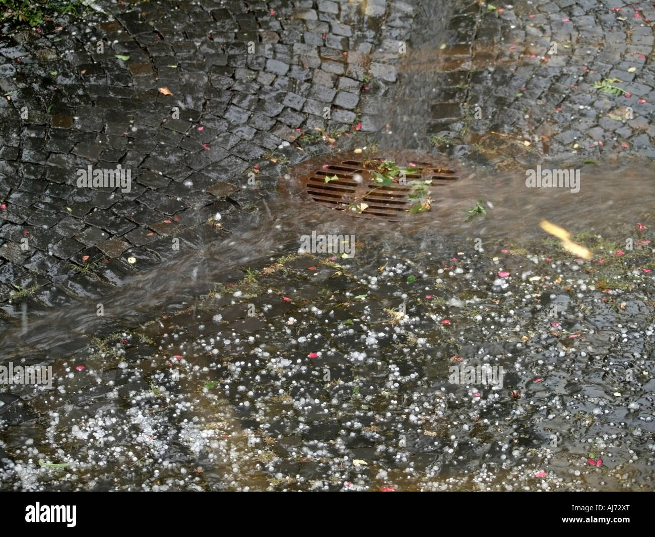 heavy rain with hail water from street running into a gully Stock Photo ...