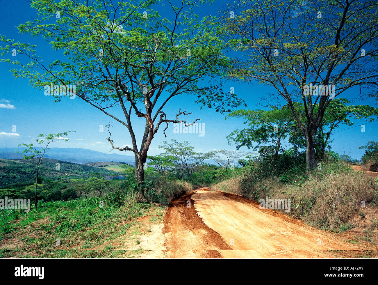 A dirt road or track with a view of Burma Valley towards Mozambique ...