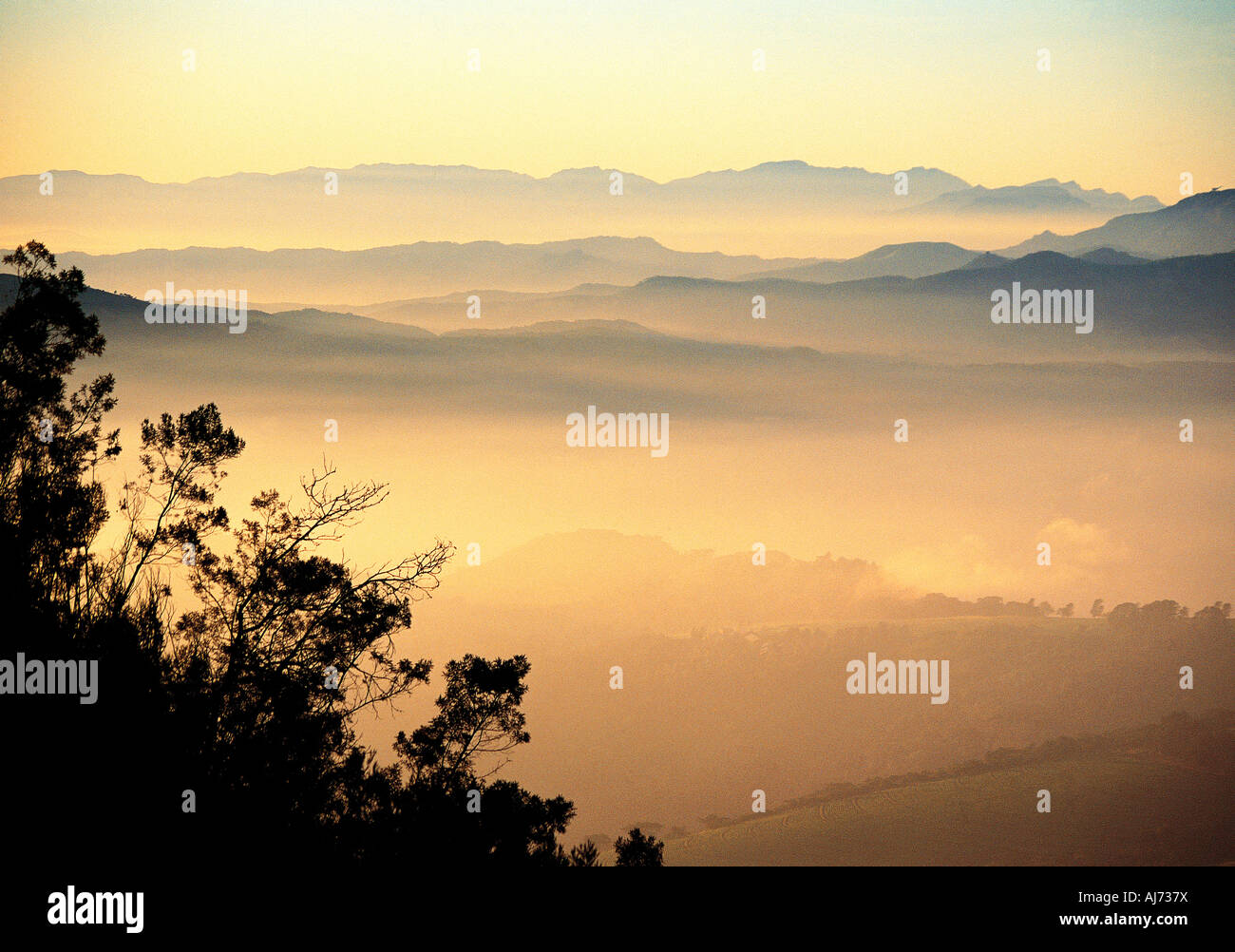Early morning sunlight on mist filled valleys in the Vumba Mountains ...