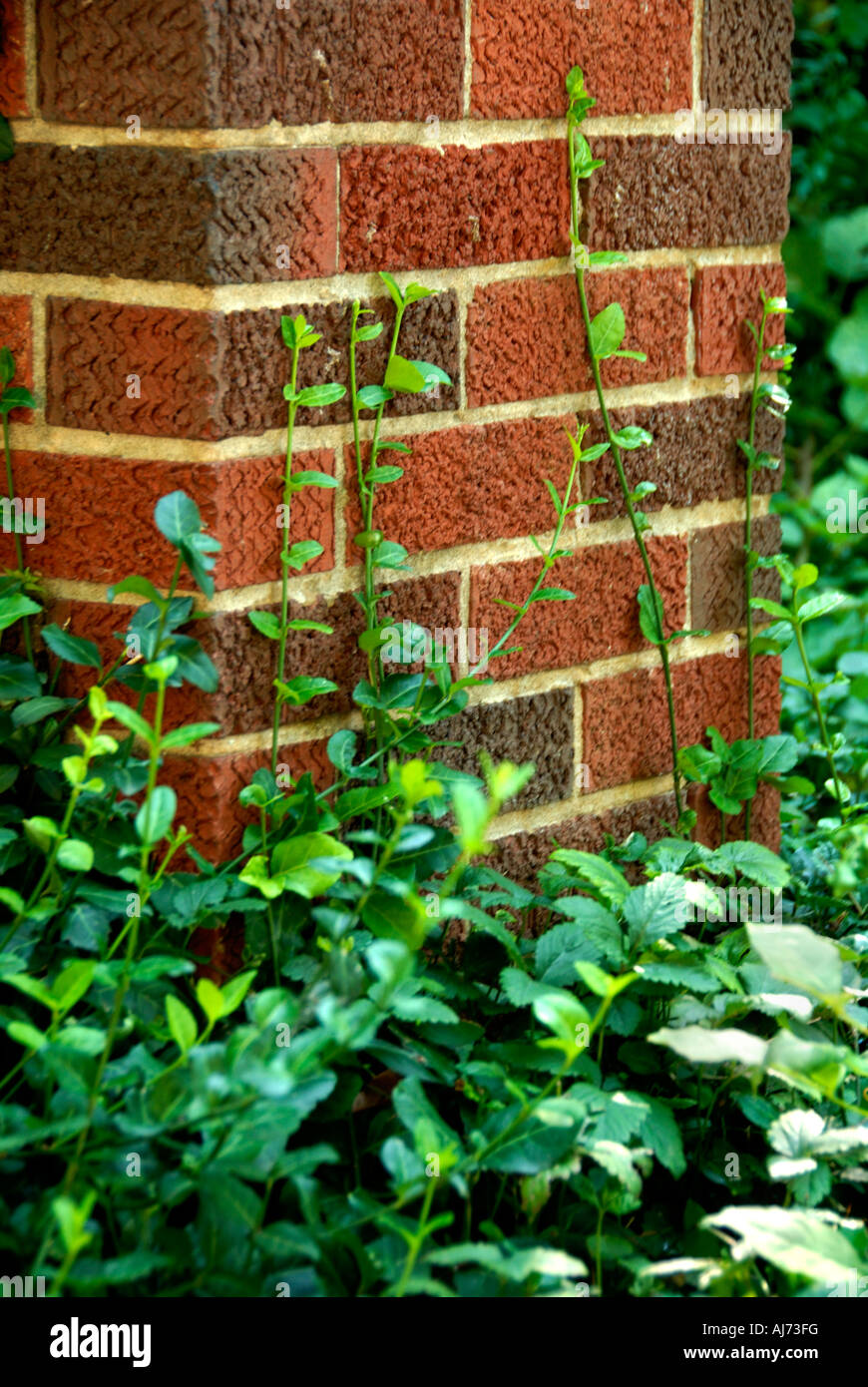 Corner pillar hi-res stock photography and images - Alamy