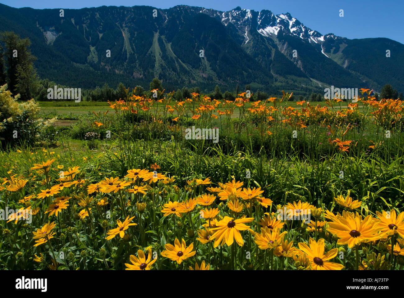 Currie mountain hi-res stock photography and images - Alamy