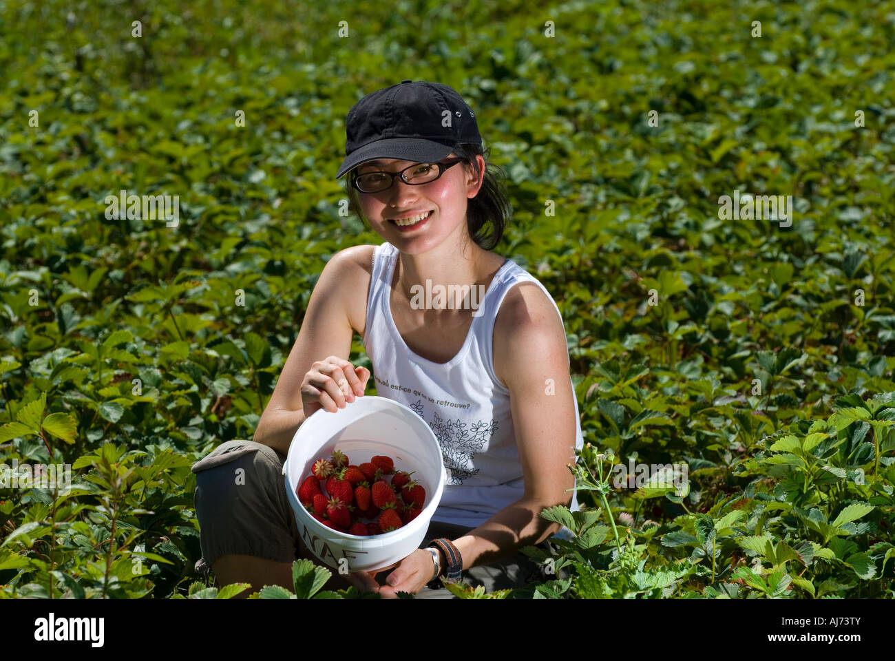 Bc fruit hi-res stock photography and images - Alamy