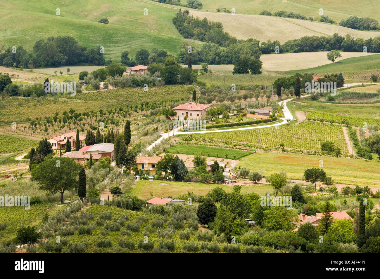 Agricultural valley farm road Montepulciano Tuscany Italy Stock Photo ...