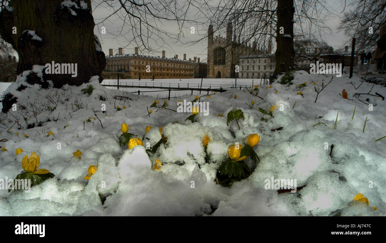 Kings college cambridge snow hi-res stock photography and images - Alamy