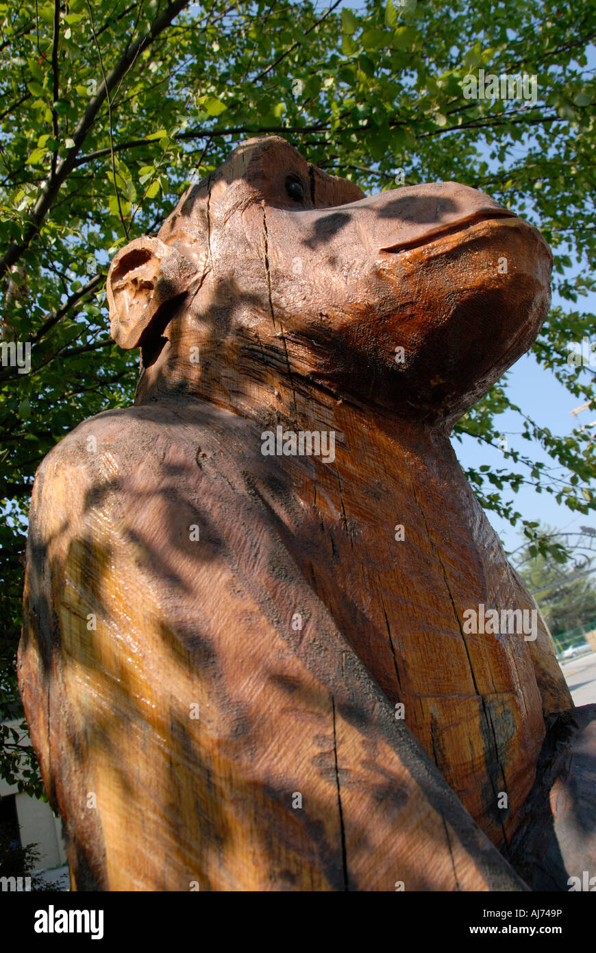 Chattanooga zoo at warner park hi-res stock photography and images - Alamy