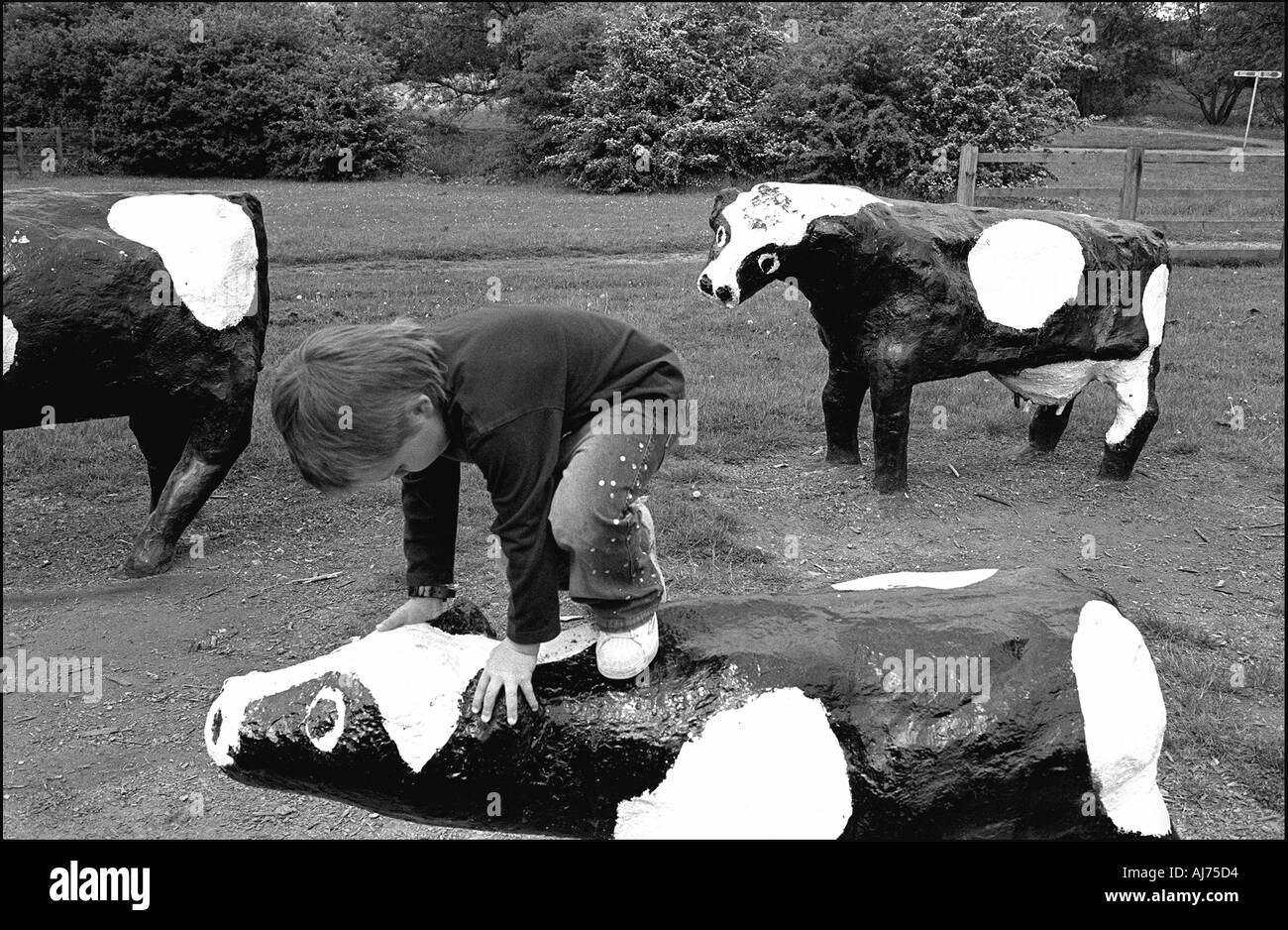 Milton keynes concrete cows hi-res stock photography and images - Alamy