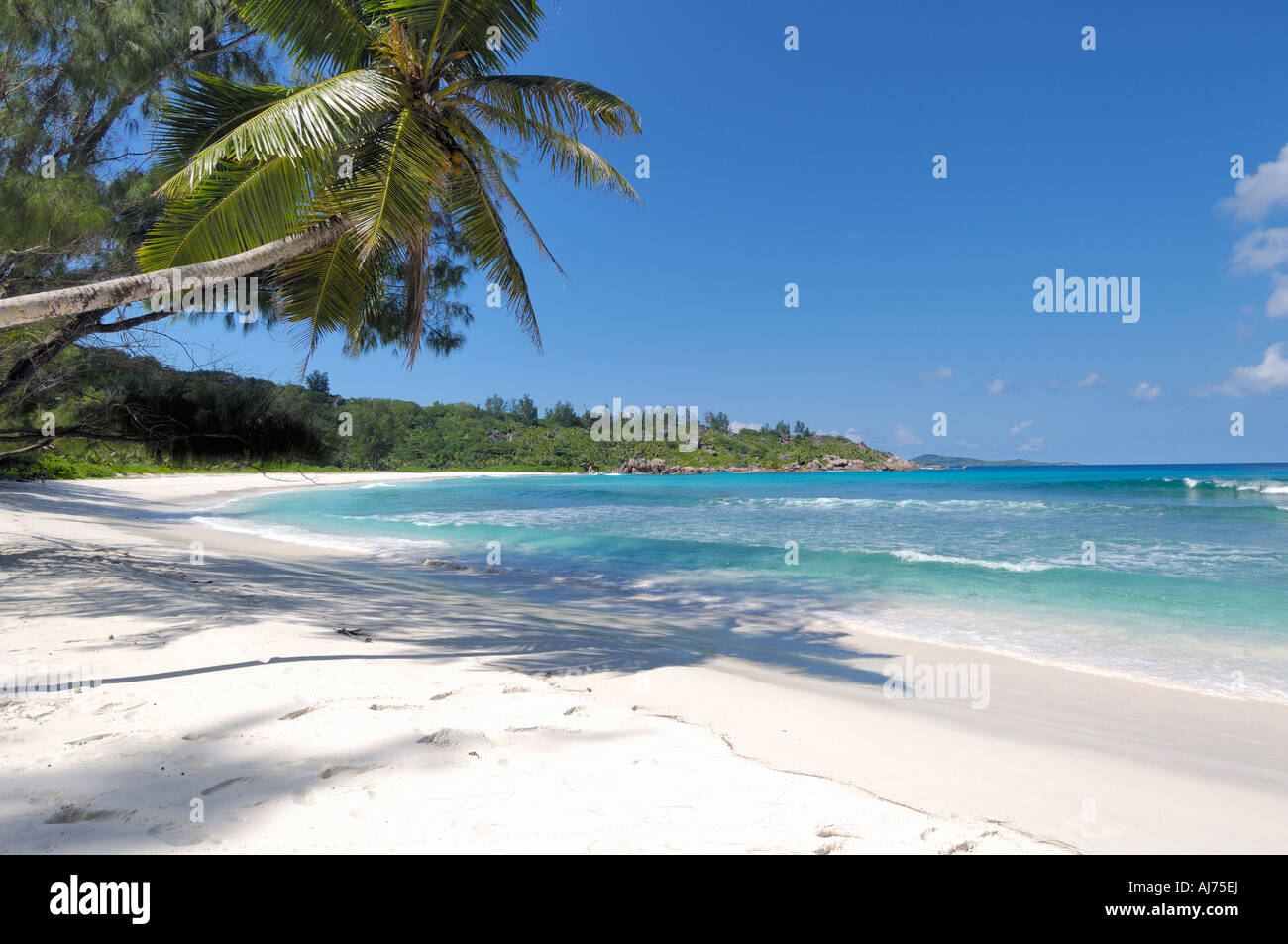 Pristine tropical beach Stock Photo - Alamy