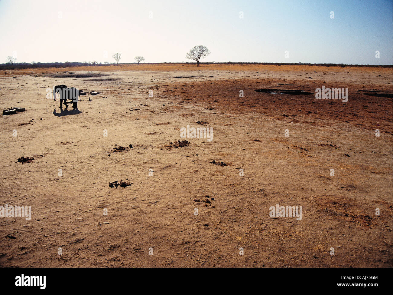 Drought stricken area hi-res stock photography and images - Alamy