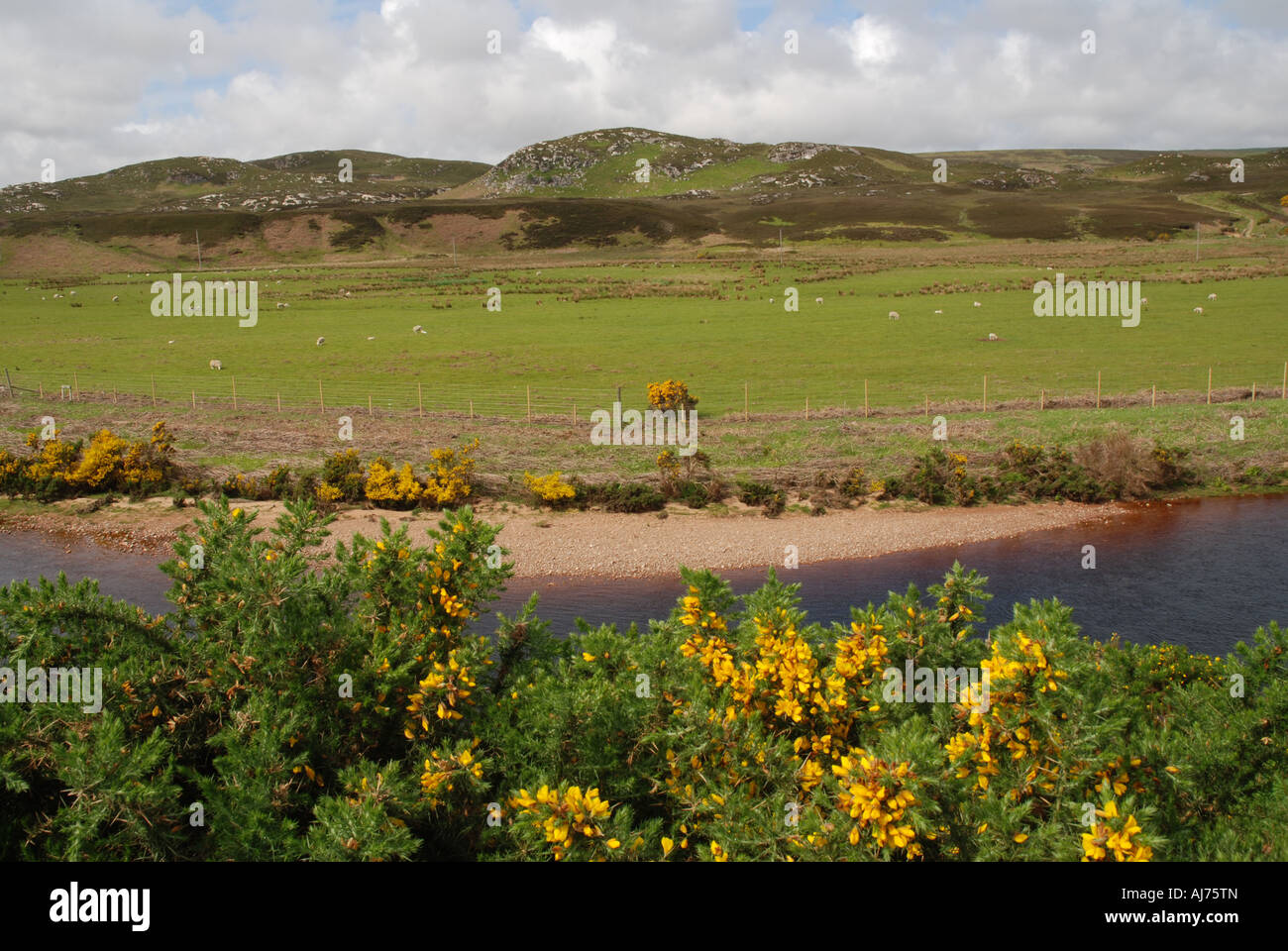 River halladale hi-res stock photography and images - Alamy