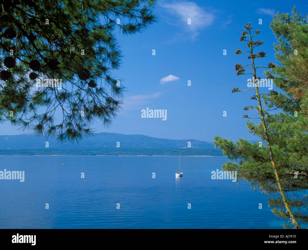 Croatia Brac Island Zlatni Rat Golden Cape Beach near Bol Stock Photo ...