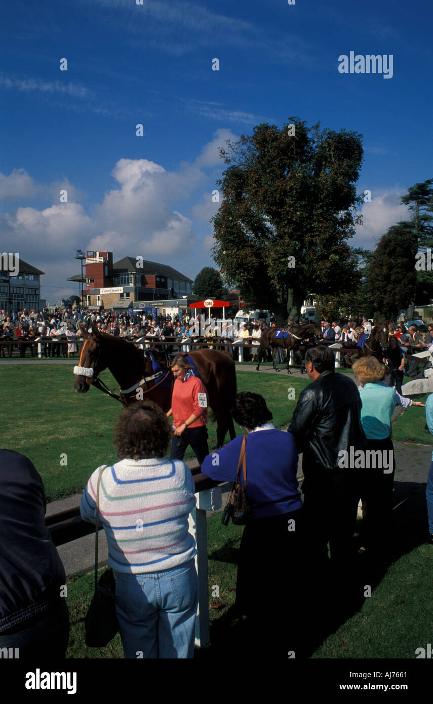 Parade ring fontwell park racecourse hi-res stock photography and ...
