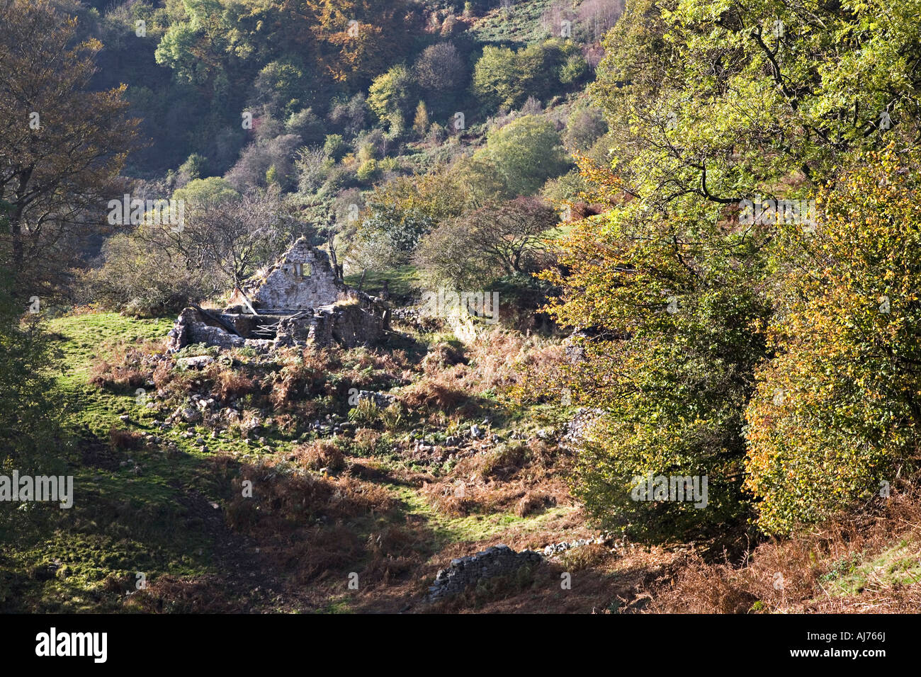 Llanellen High Resolution Stock Photography and Images - Alamy