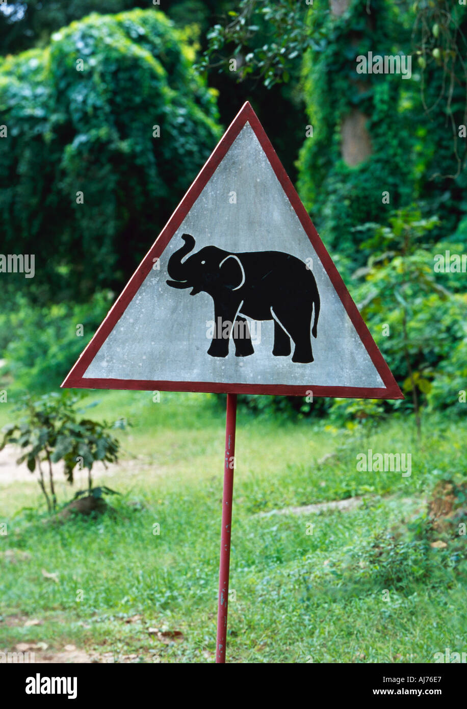 Elephant crossing sign hi-res stock photography and images - Alamy