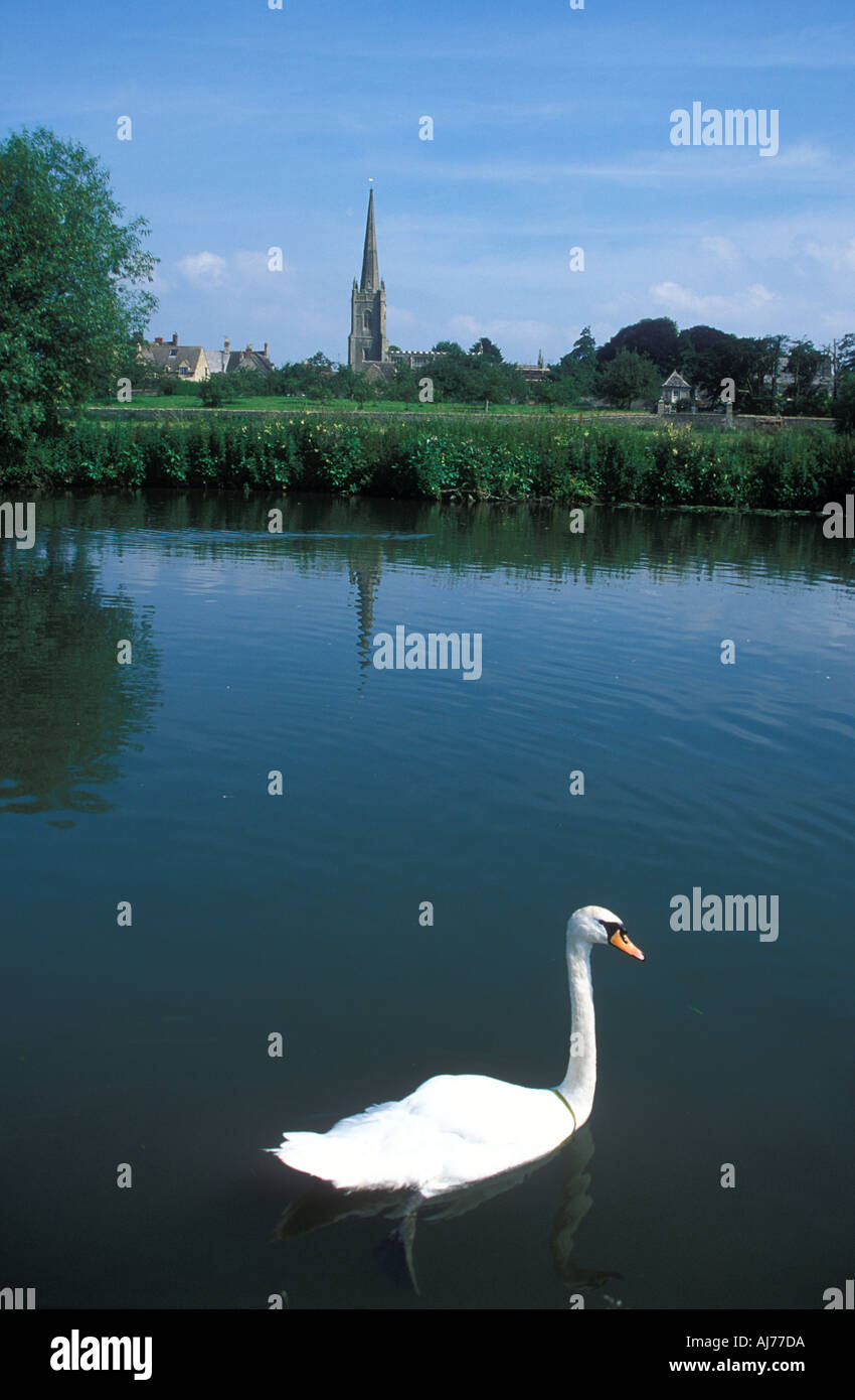 Swan on the river Thames and church Lechlade Gloucestershire England ...