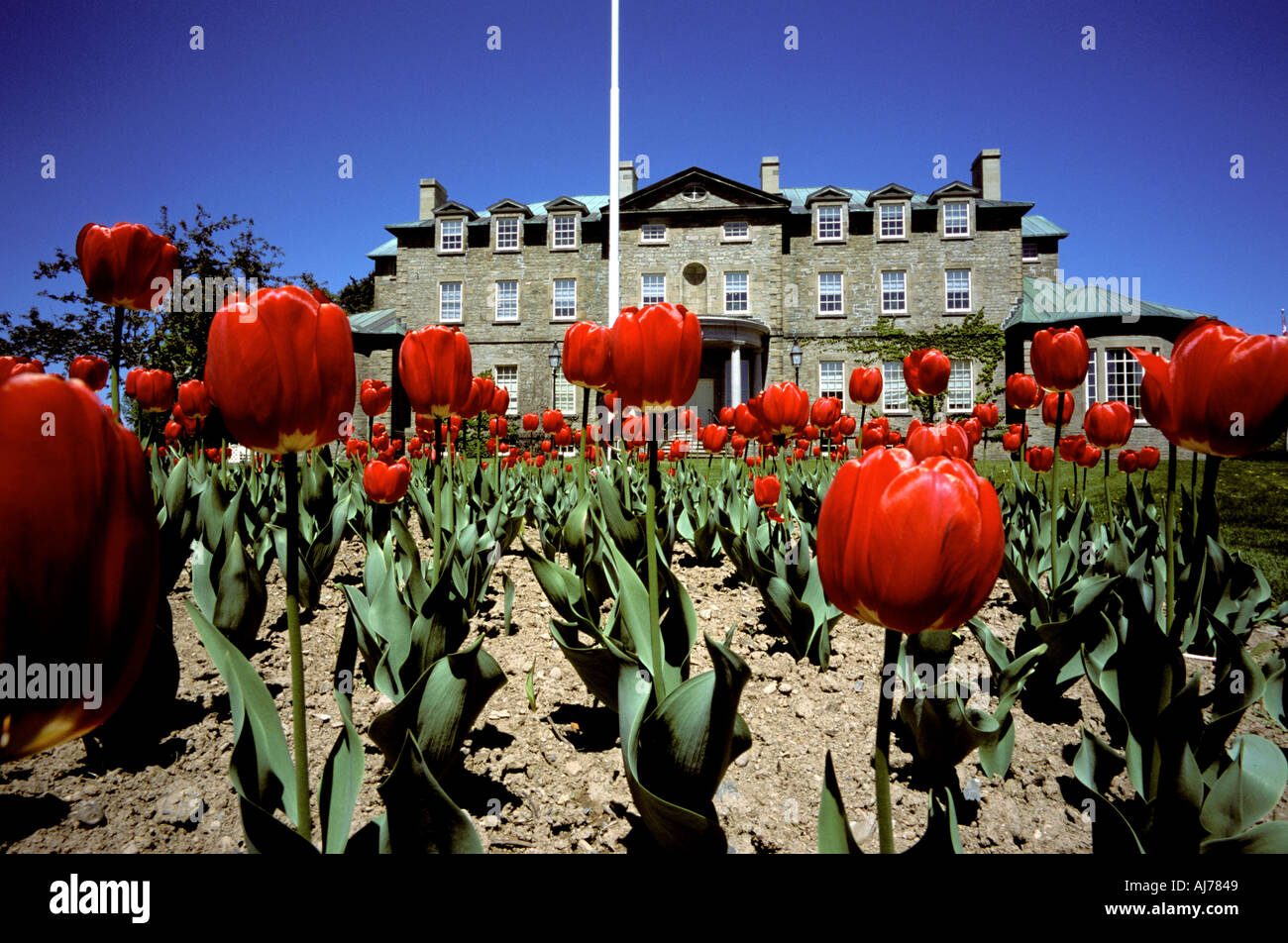 The new lieutenant governor of new brunswick hi-res stock photography ...