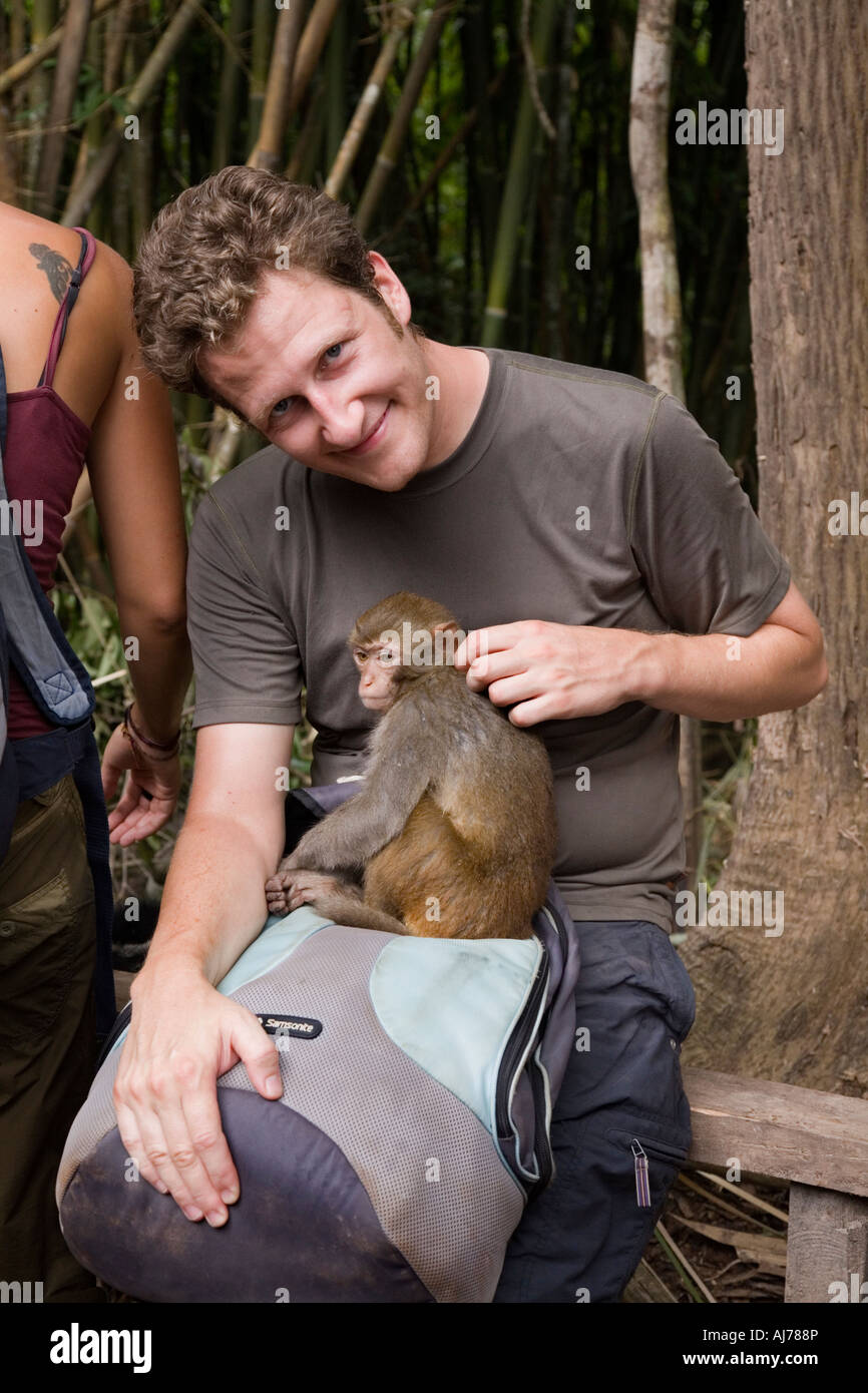 small monkey living with a tribe at The Gibbon Experience near Huay Xai ...