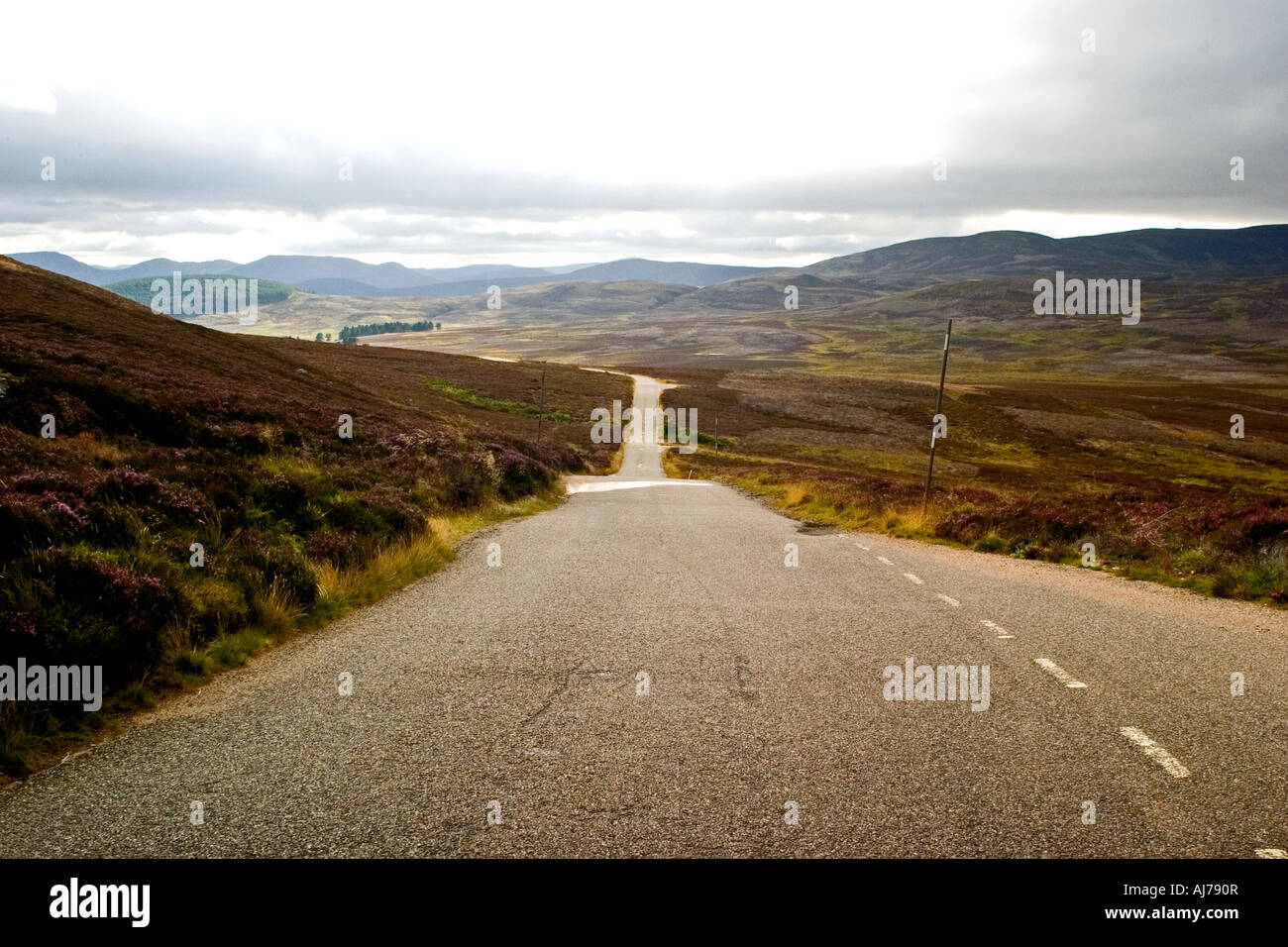 Dimish hi-res stock photography and images - Alamy