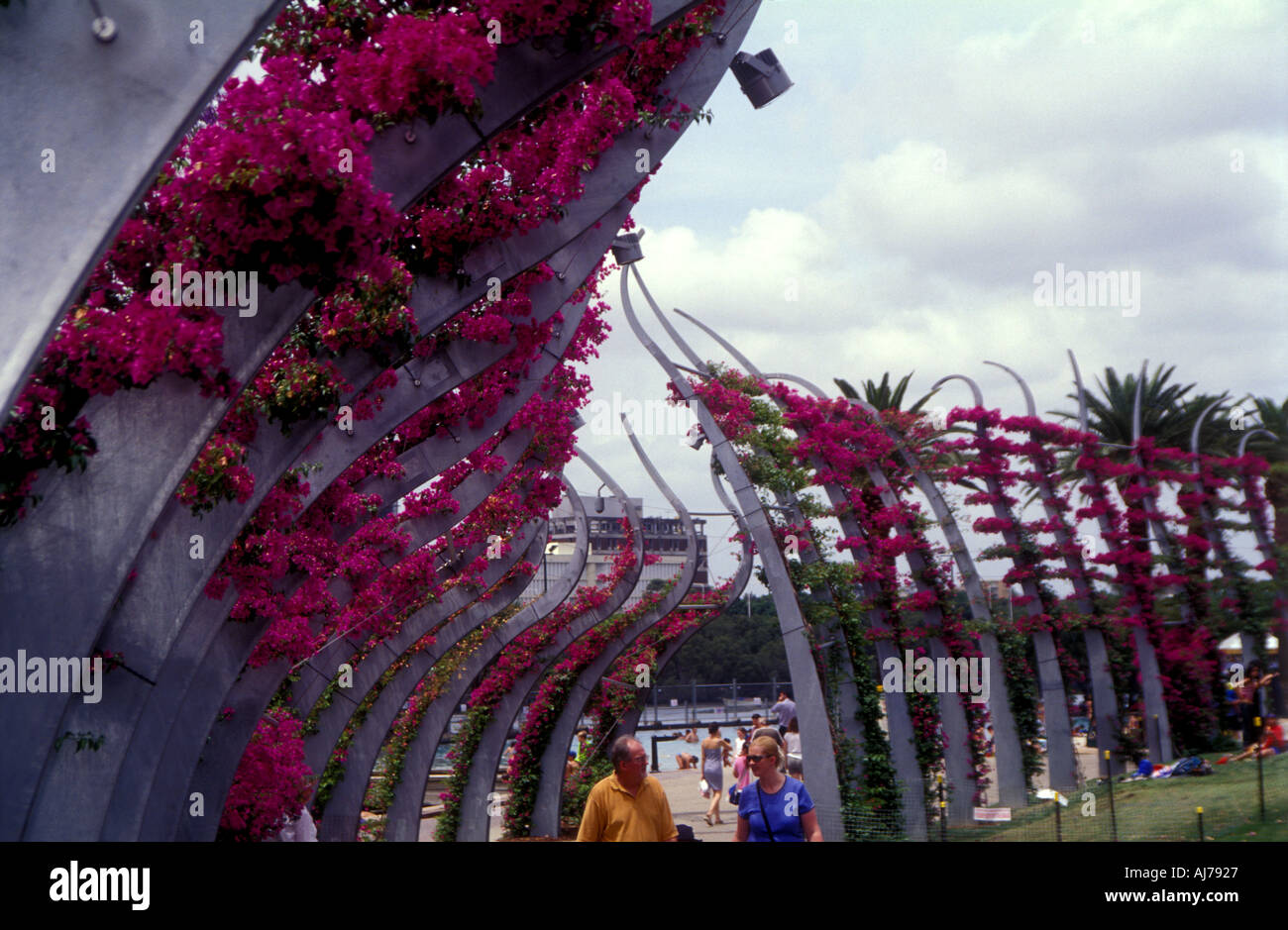 Energex Arbour High Resolution Stock Photography and Images - Alamy