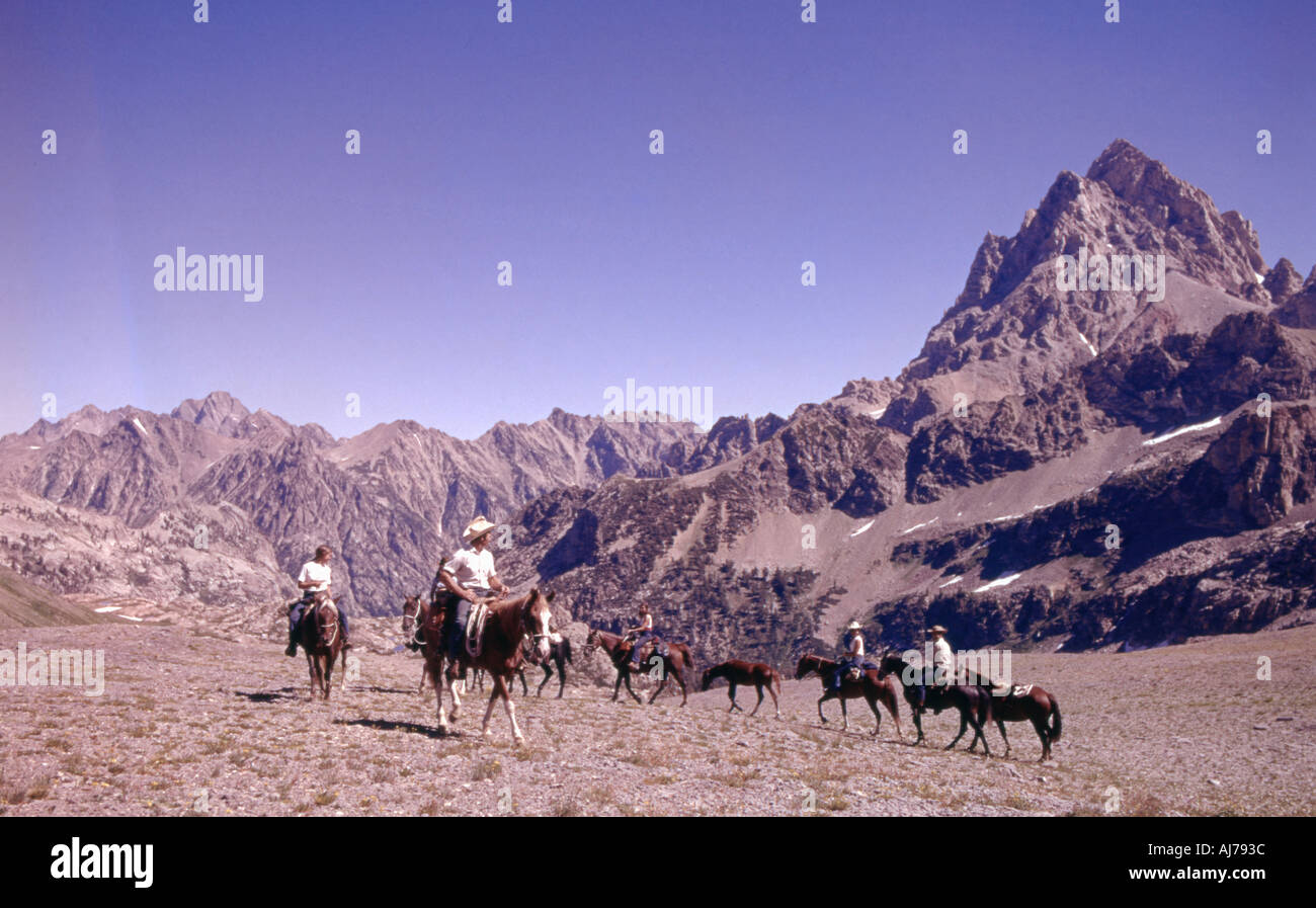 Horse grand tetons hi-res stock photography and images - Alamy