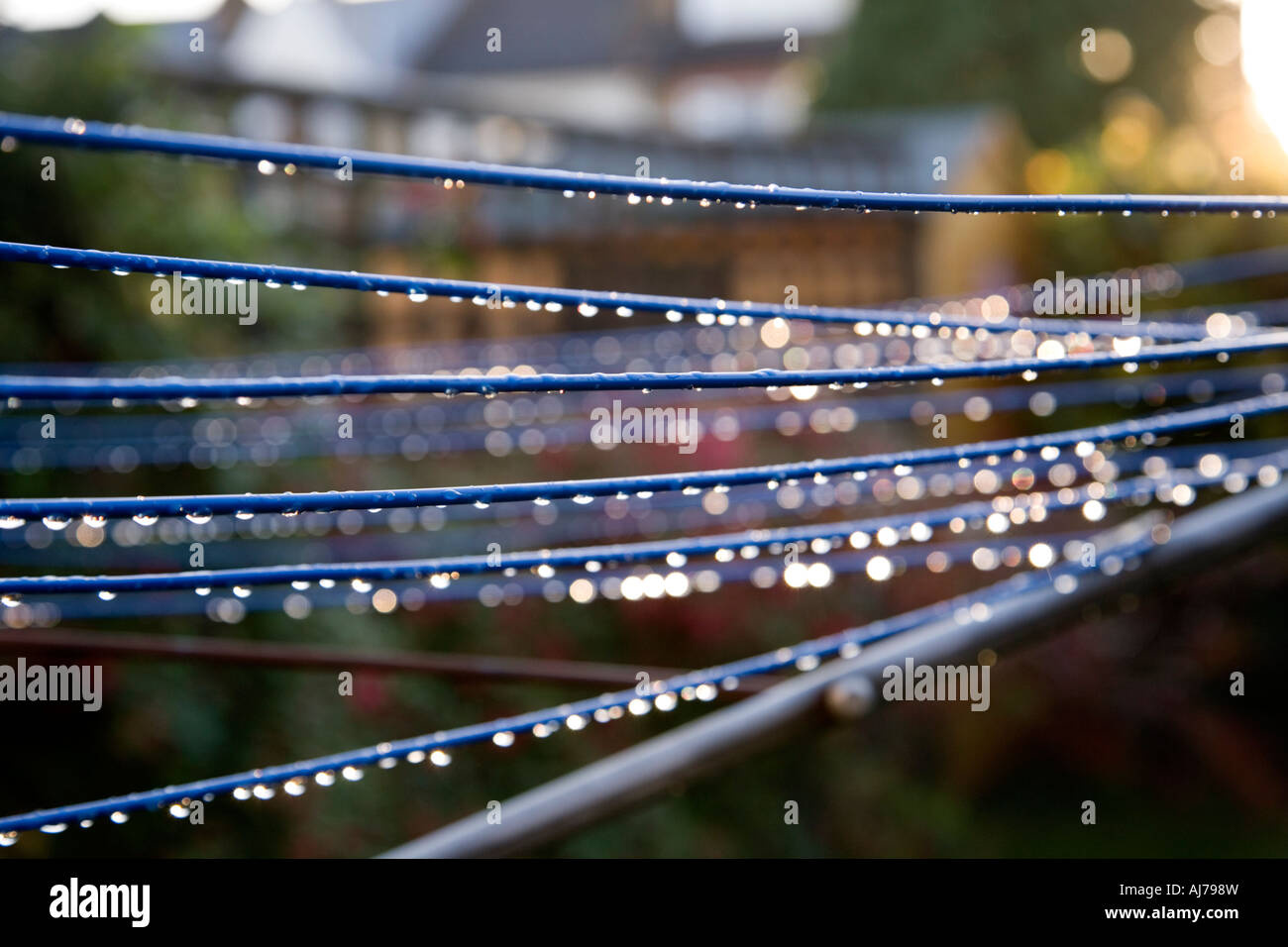 Washing line with rain drops (45 Stock Photo - Alamy
